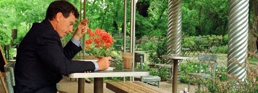 Caffe Driade - Coffee Shop