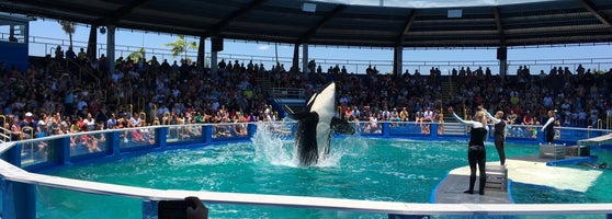 Miami Seaquarium - Village of Key Biscayne - 4400 Rickenbacker Cswy