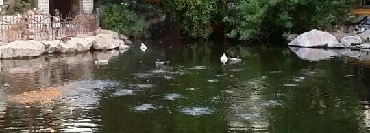 El Encanto - Deer Valley - 53 tips from 2264 visitors