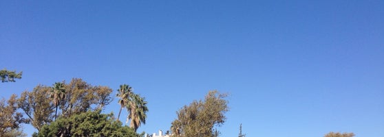 Asi Nehri - Antakya, Hatay