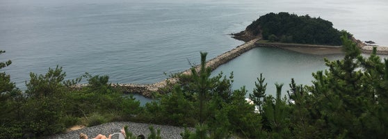 地中美術館 (Chichu Art Museum) - 75 tips from 4301 visitors