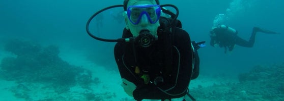 Great Barrier Reef - Cairns, QLD