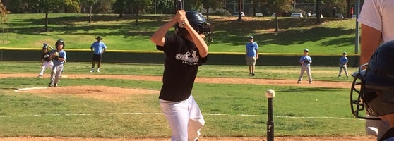 Montrose Community Park - 5 tips