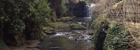 Jesmond Dene Nature Area - Jesmond