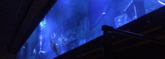 Dive Bar - Dive Bar in Downtown Sacramento