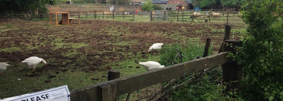 Hackney City Farm - Farm in Hackney