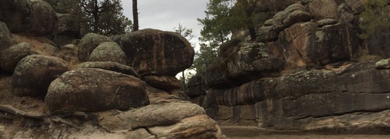 Parque Nacional Cumbres De Majalca - 3 tips from 85 visitors