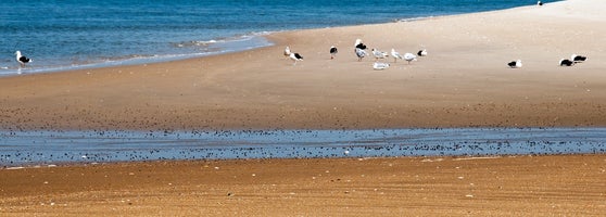 Sandy Hook (Gateway National Recreation Area) - 68 tips from 8266 visitors