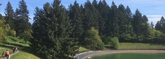 Mt. Tabor Park - Portland, OR