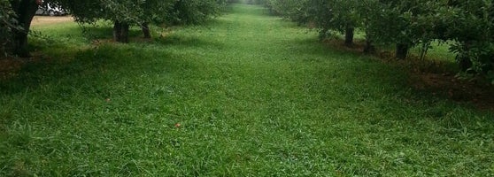 Masker Orchards - 37 tips from 2338 visitors