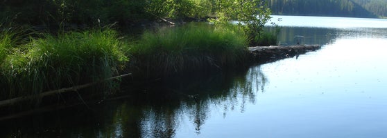 Dog Lake - Lake in olney