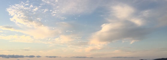 One Tree Hill - Scenic Lookout