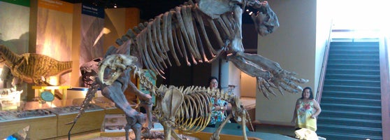 Mississippi Museum of Natural Science - Science Museum