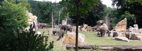 Zoo Praha - Praha-Troja - Praha, Hlavní město Praha