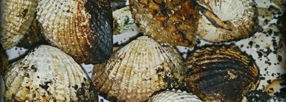 Rasta @ TTDI - Kuala Lumpur, Kuala Lumpur