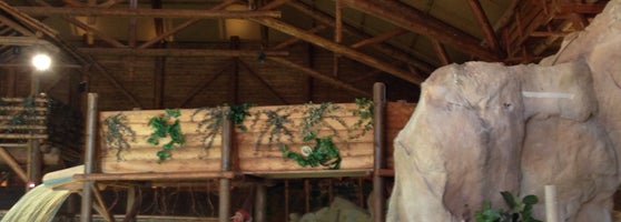 Disney's Ranch Davy Crockett - Resort