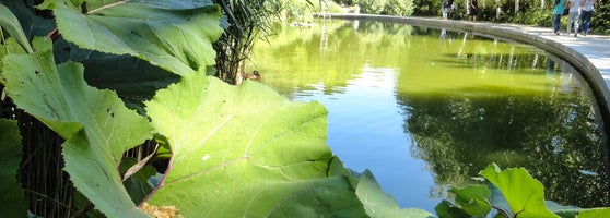 Parc de Bercy - Park in Paris
