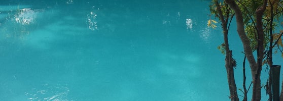 Ernest Hemingway Home & Museum - 907 Whitehead St