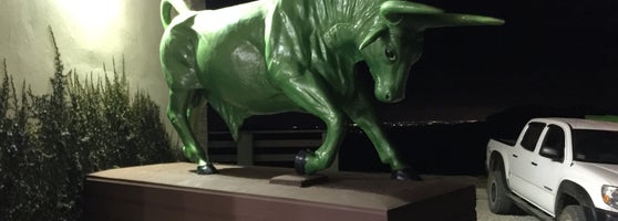 Toro Verde - 10 tips from 311 visitors