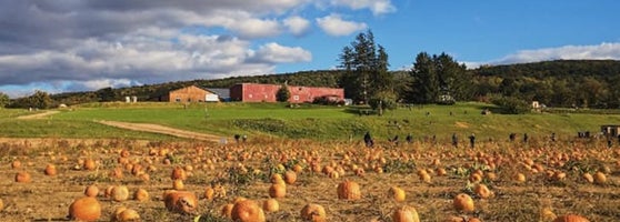 Fishkill Farms - 9 Fishkill Farm Rd