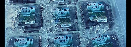 Mutiny Bay, Whidbey Island, WA - Beach