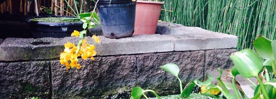 Vivero Mario - Palermo Viejo - Av. Raúl Scalabrini Ortíz 1240