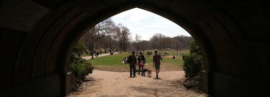 Prospect Park Loop - Track in Prospect Park