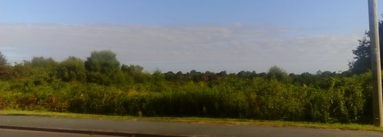 Turbary Common Nature Reserve - Nature Preserve