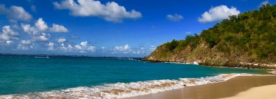 Happy Bay - 9 tips from 224 visitors