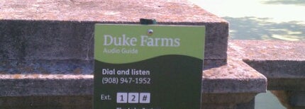 Duke Farms - Hiking Trail in Hillsborough