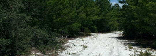 Seabranch Preserve State Park - 9 tips