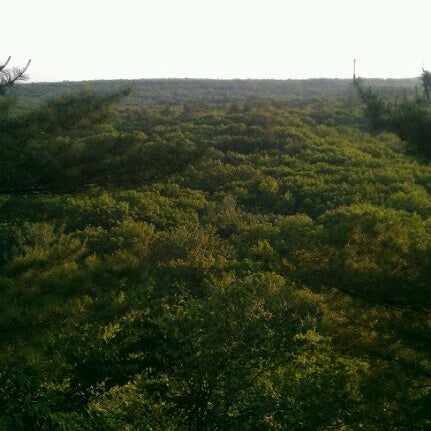 Snake Den State Park - 1 tip from 88 visitors