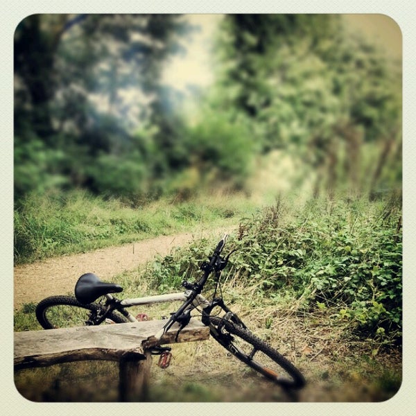 The Nicky Line (Harpenden) - Other Great Outdoors