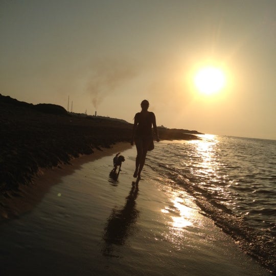 Alagadi Turtle Beach - 61 tips from 7976 visitors