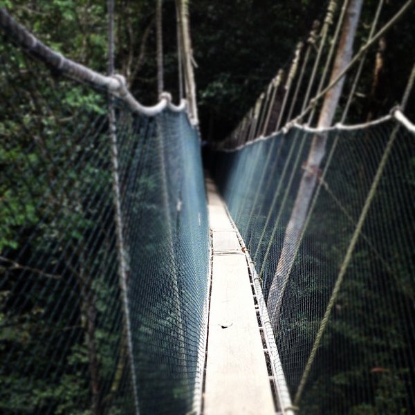 Canopy Walkway - Ranau, negeri sabah