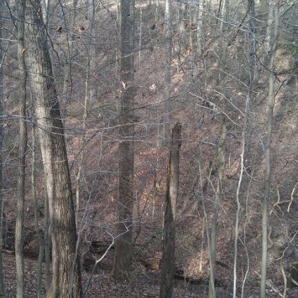 Photos at Blockhouse Point Conservation Park - Trail in Potomac
