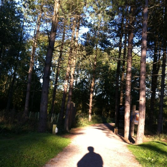 Fineshade Woods - 5 tips from 98 visitors