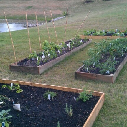 Rayconnect - Garden in Rochester Hills