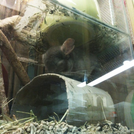 Faunatar - Pet Supplies Store in Vantaa