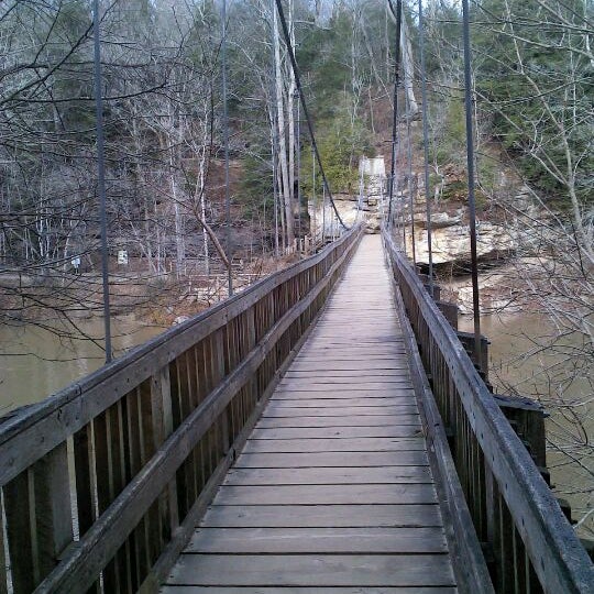 Turkey Run Suspension Bridge - Bridge