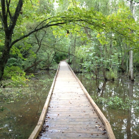 Cochran Shoals - Chattahoochee River - East Cobb - 32 tips from 1406 ...