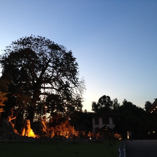 Heritage Trees Trail