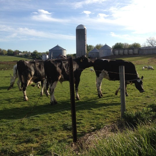 The Stinky Farm - 7 tips from 147 visitors