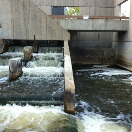 Fish Ladder Park - 560 Front Ave. NW