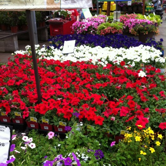 Lowe's - Springfield, MO