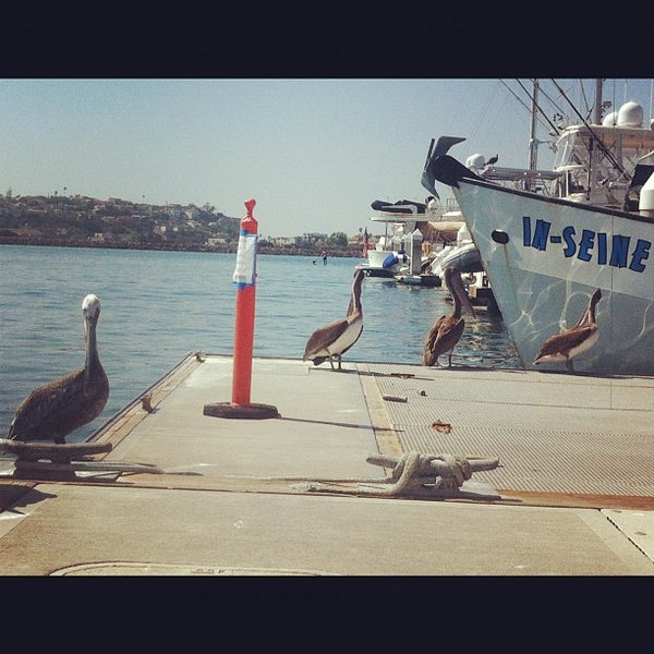 Del Rey Landing & Docks - 1 tip