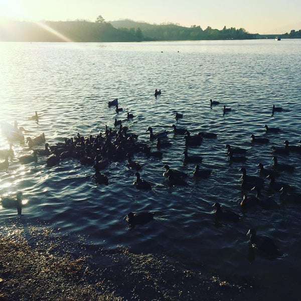 Frank G. Bonelli Regional Park Swim Beach - 120 Via Verde