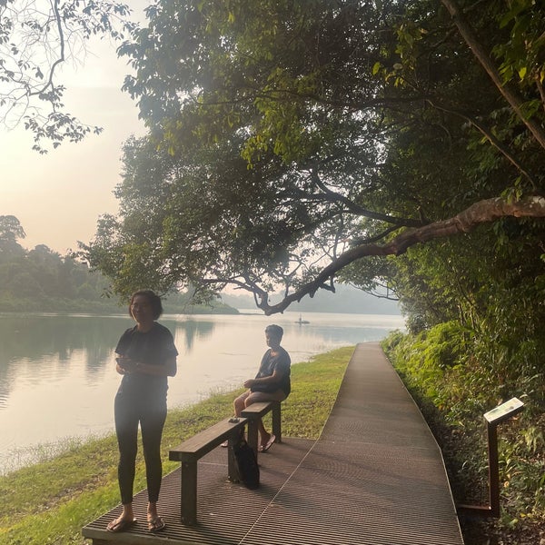 MacRitchie Reservoir Park - Central Catchment Nature Reserve - 62 tips