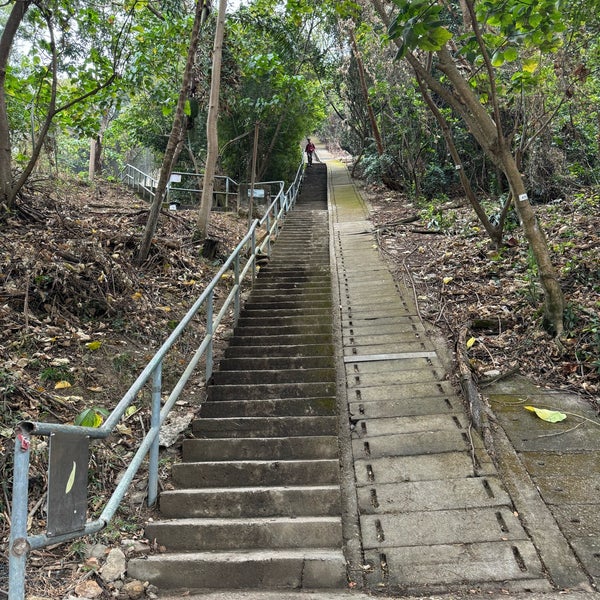 Lung Fu Shan Country Park 龍虎山郊野公園 - 4 tips
