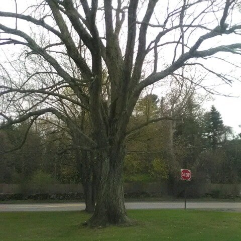 Photos at Fox Run Elementary School - Elementary School in West Norwalk